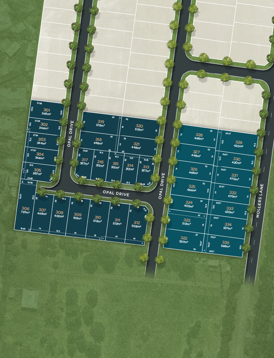 Stage 3 | Sanctuary Springs